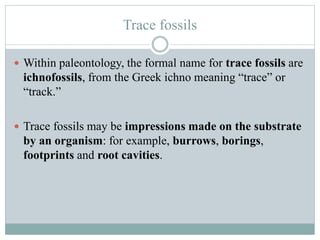 Difference of micro fossils and trace fossil | PPT