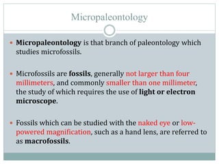 Difference of micro fossils and trace fossil | PPT