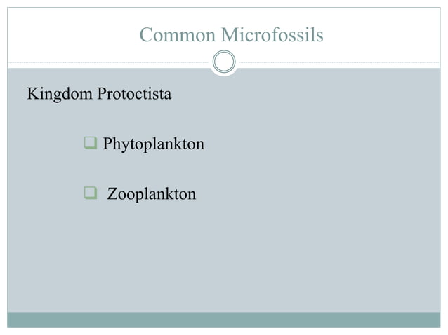 Difference of micro fossils and trace fossil | PPT