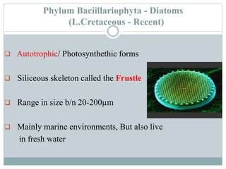 Difference of micro fossils and trace fossil | PPT