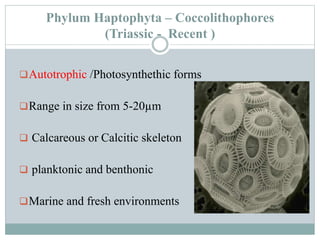 Difference of micro fossils and trace fossil | PPT