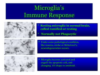 Microglia | PPTX