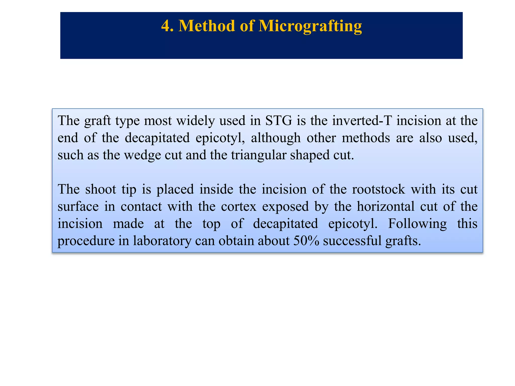 Micrografting in citrus species | PPTX