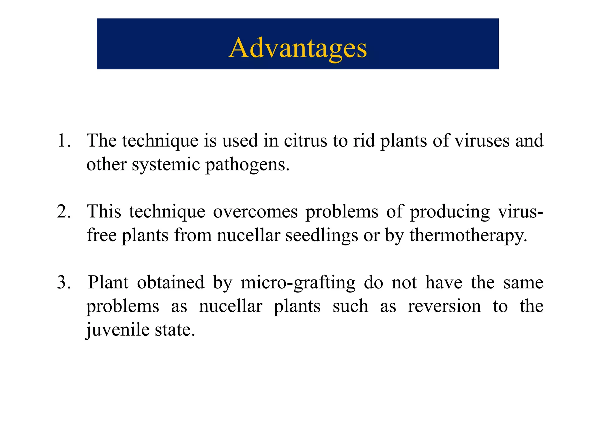 Micrografting in citrus species | PPTX