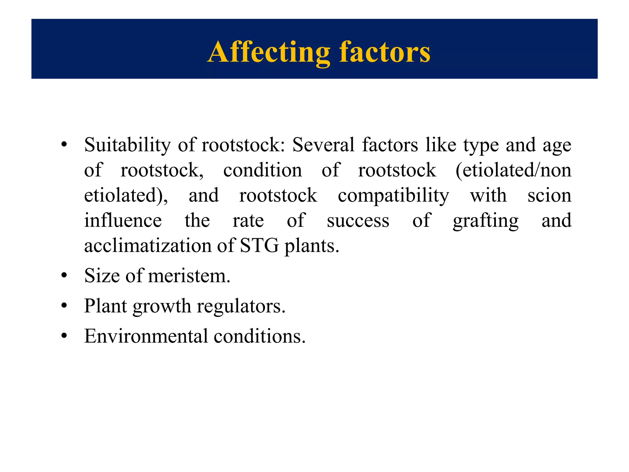 Micrografting in citrus species | PPTX