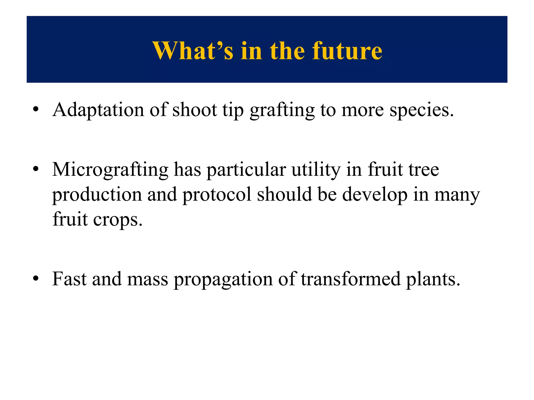 Micrografting in citrus species | PPTX