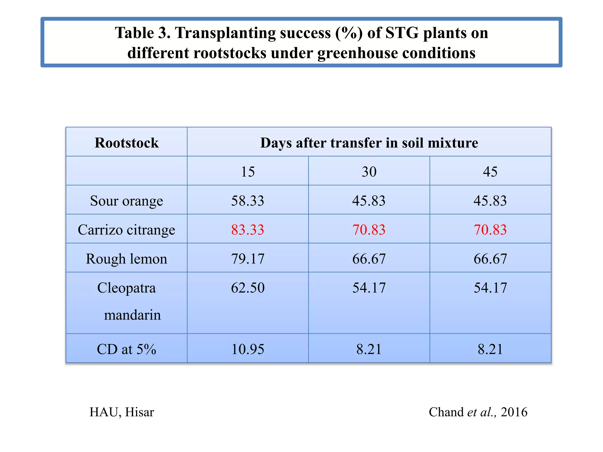 Micrografting in citrus species | PPTX