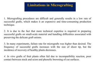 Micrografting in citrus species | PPTX