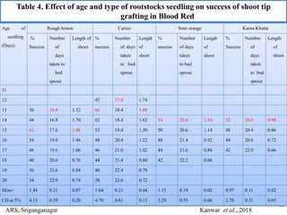 Micrografting in citrus species | PPTX