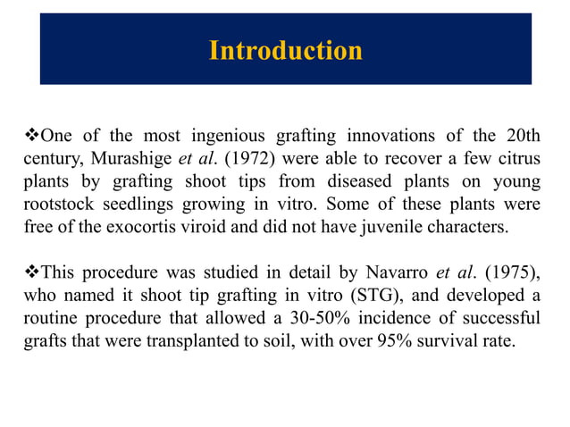 Micrografting in citrus species | PPTX