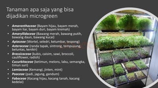 Microgreen | PDF