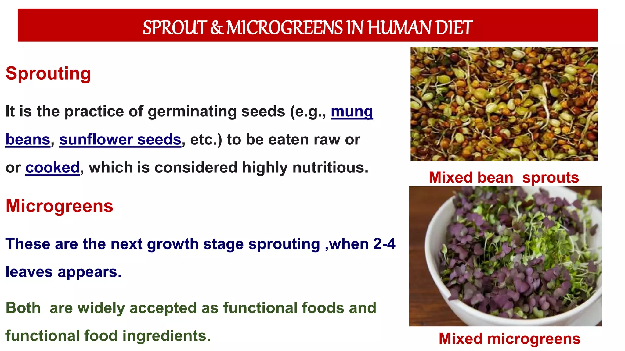 Microgreen | PPTX