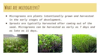 Microgreens-Slideshow (1).pdf