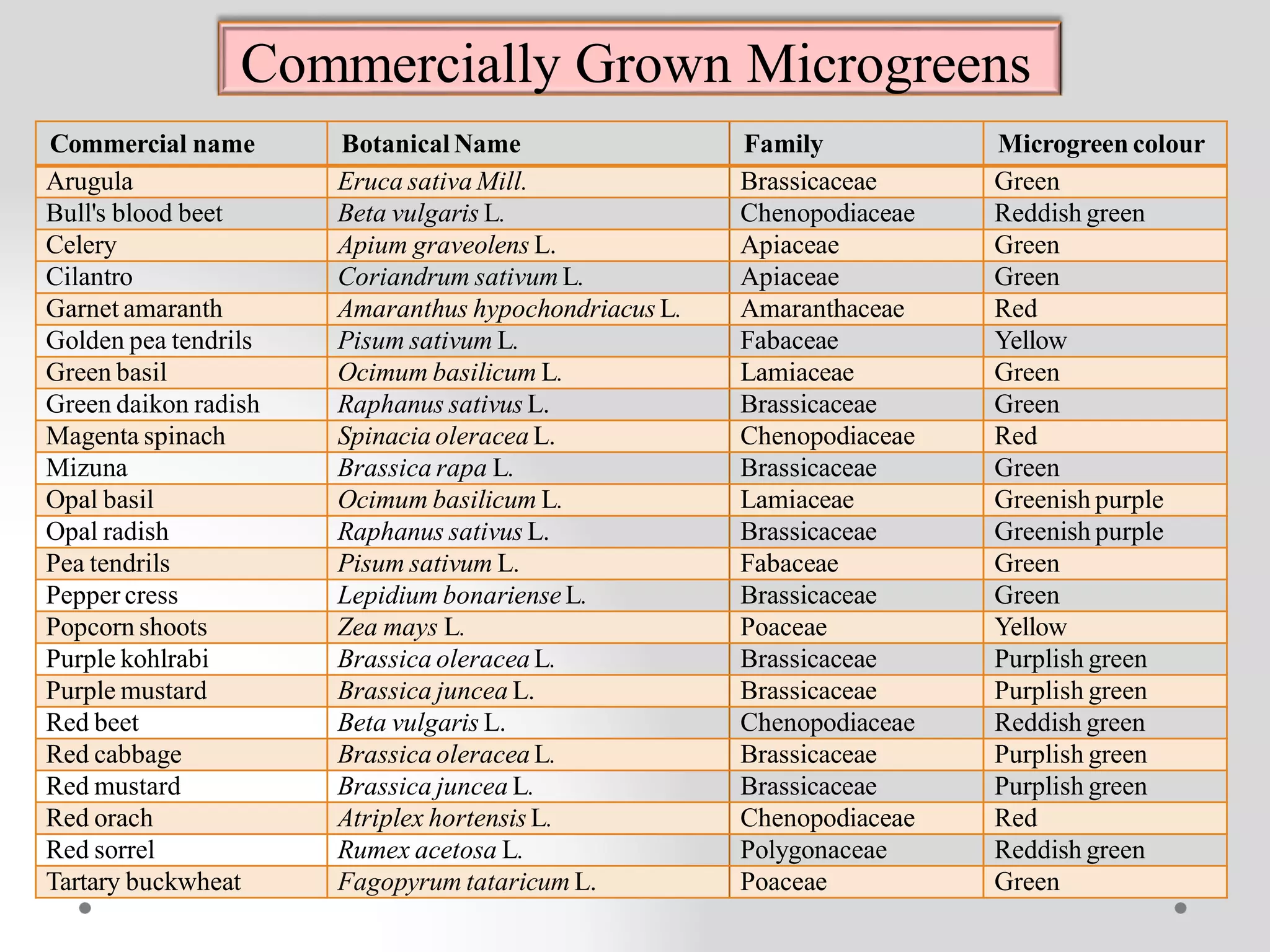 Microgreens and introduction to soilless farming | PDF