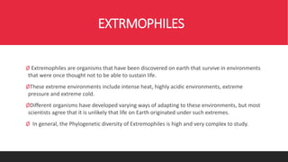 extremophyles | PPT