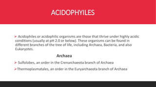 extremophyles | PPT