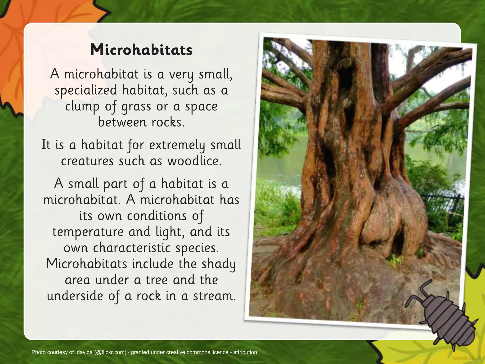 Microhabitats | PPT