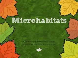Microhabitats | PPT | Gardening | Home & Garden