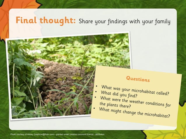 Microhabitats | PPT | Gardening | Home & Garden