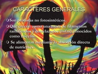 Micro Hongos | PPT