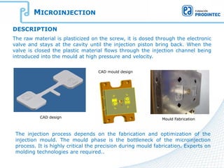 Microinjection | PDF