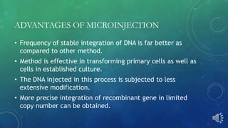 Microinjection | PPTX