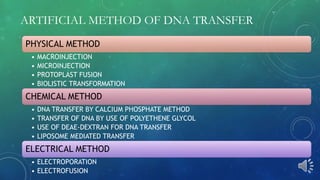 Microinjection | PPTX