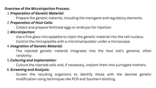 Comprehensive Notes on Microinjection: Techniques, Systems, and ...