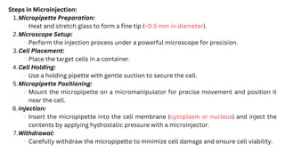 Comprehensive Notes on Microinjection: Techniques, Systems, and ...