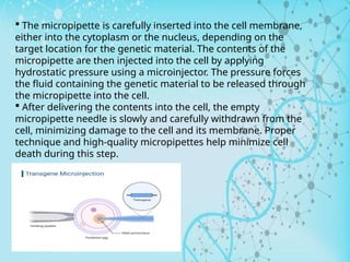 Microbial biotechnology ( micro infections) | PPTX