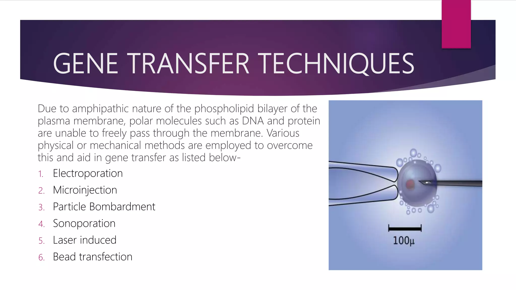 MICROINJECTION GENE TRANSFER METHOD | PPTX