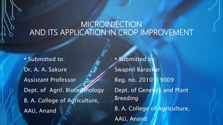 Microinjection ssb | PPTX