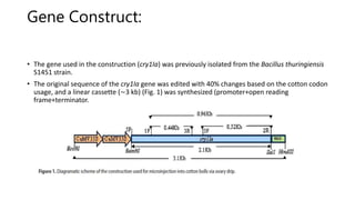 Microinjection ssb | PPTX