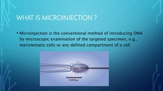 Microinjection ssb | PPTX