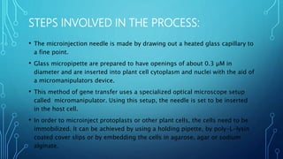Microinjection ssb | PPTX