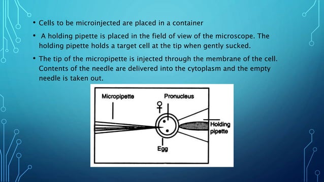 Microinjection ssb | PPTX