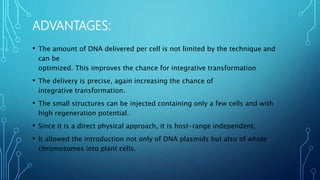 Microinjection ssb | PPTX