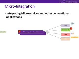 Microintegration | PPT