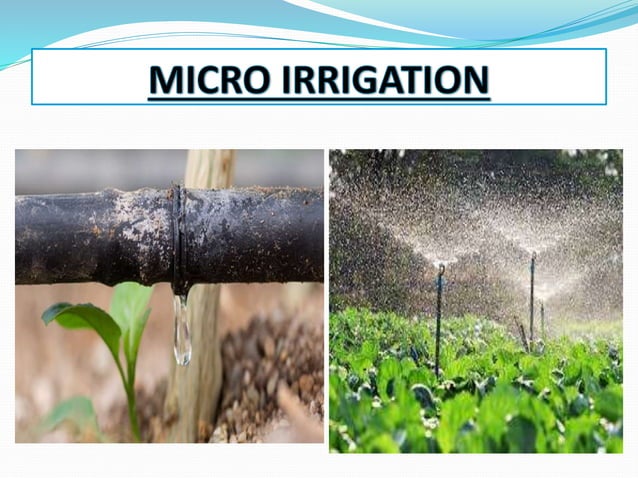 MICRO IRRIGATION in detail with example.pptx | Agriculture | Industries
