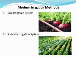 MICRO IRRIGATION in detail with example.pptx