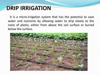 MICRO IRRIGATION in detail with example.pptx