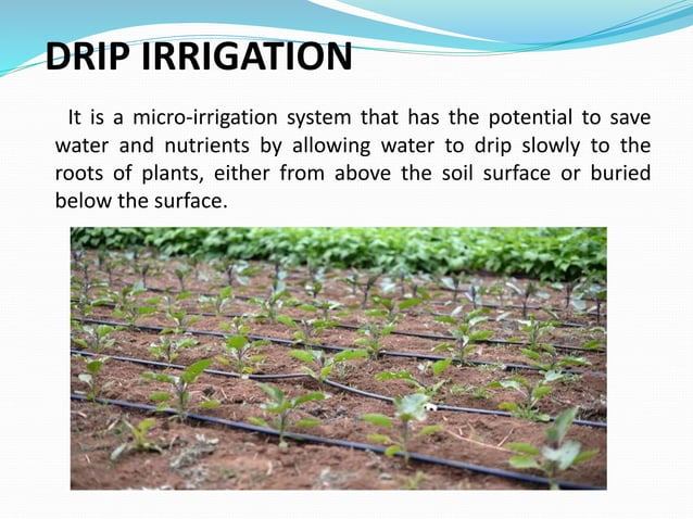 MICRO IRRIGATION in detail with example.pptx | Agriculture | Industries