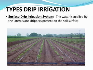 MICRO IRRIGATION in detail with example.pptx