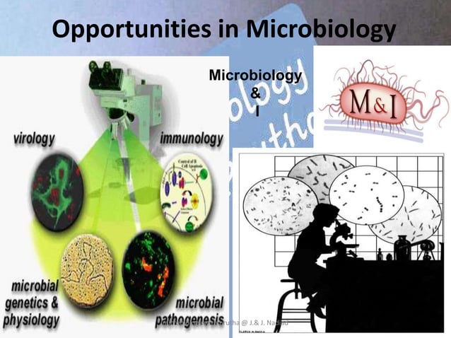 What Makes Microbiology Interesting ? | PPT