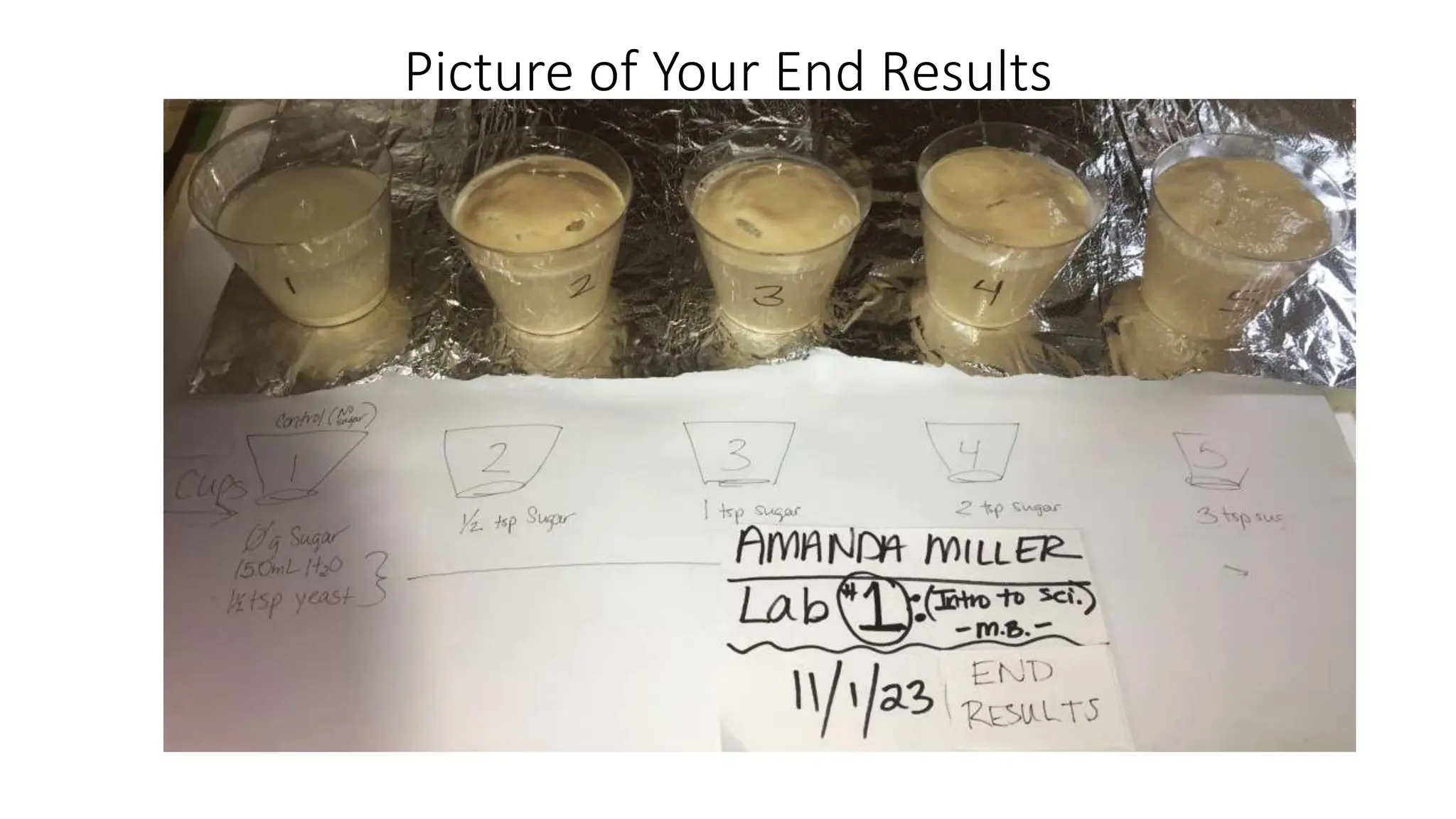 MICRO LAB-pptx._Lab 1 Picturesoflabexperiments.A.MILLER.pptx