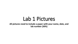 MICRO LAB-pptx._Lab 1 Picturesoflabexperiments.A.MILLER.pptx