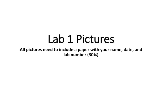 MICRO LAB-pptx._Lab 1 Picturesoflabexperiments.A.MILLER.pptx