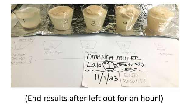MICRO LAB-pptx._Lab 1 Picturesoflabexperiments.A.MILLER.pptx