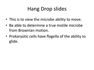 Micro lab 3,2 | PPTX | Chemistry | Science