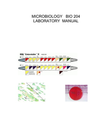 Micro lab book 07 | PDF